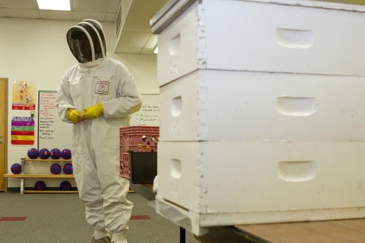 Students learn A to Z about bees | News | paysonroundup.com