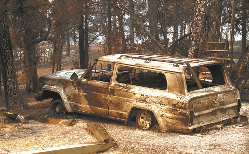 Rodeo-Chediski Burned Out | Catastrophe A Forest In Flames ...