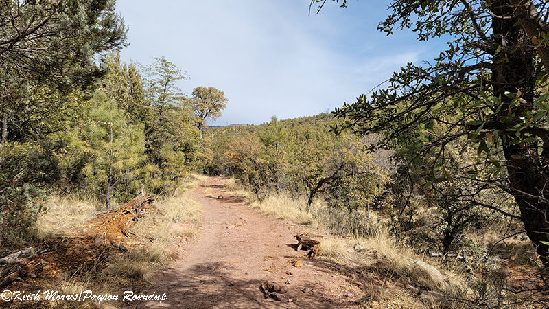 Dude Fire Memorial Trail | Multimedia | paysonroundup.com
