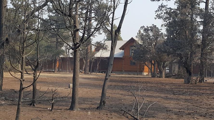 Tinder Fire grows, destroys homes | Forest Management Wildfires | paysonroundup.com