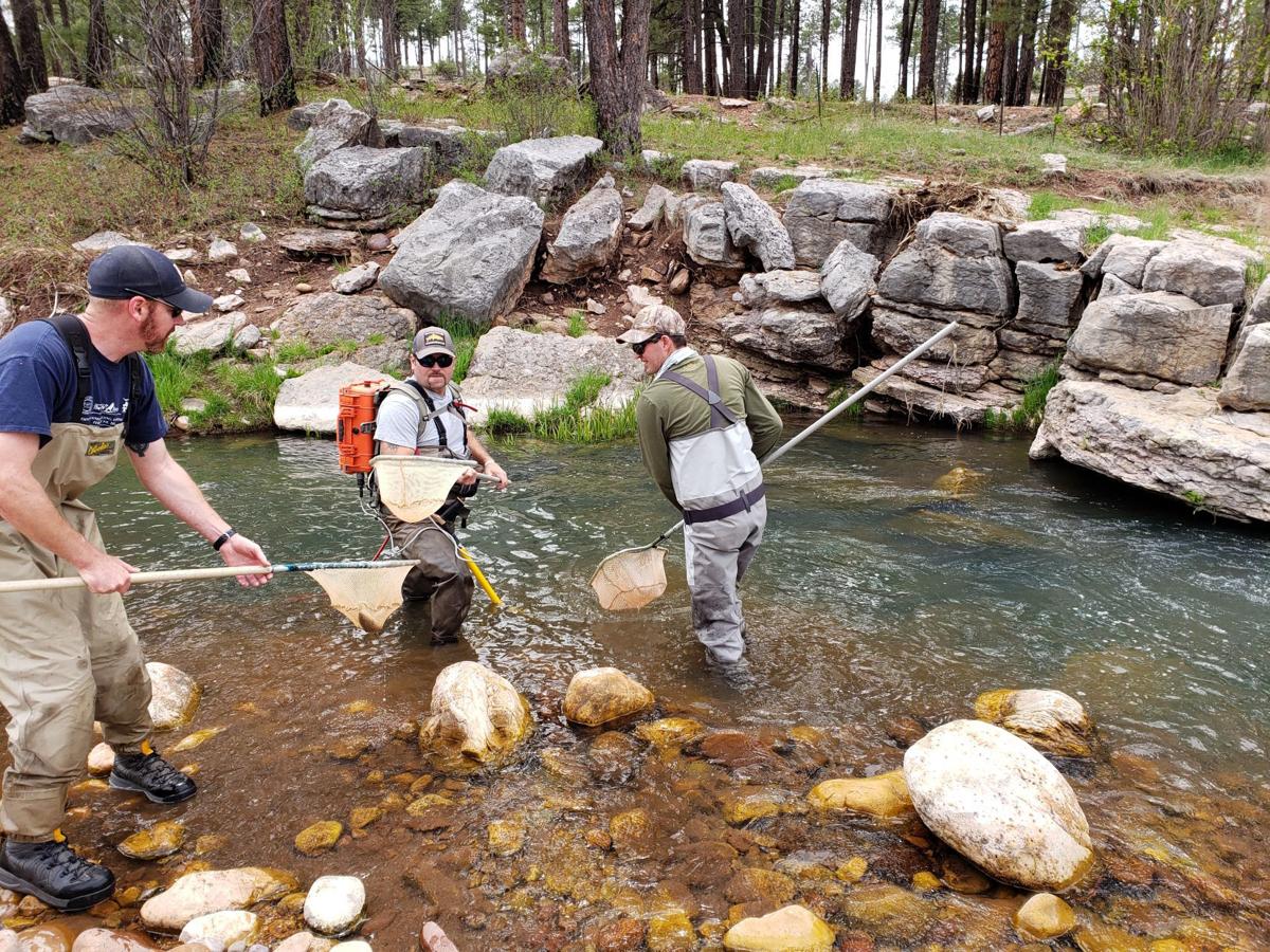 How Game and Fish is improving fishing in Rim Country | Local News ...