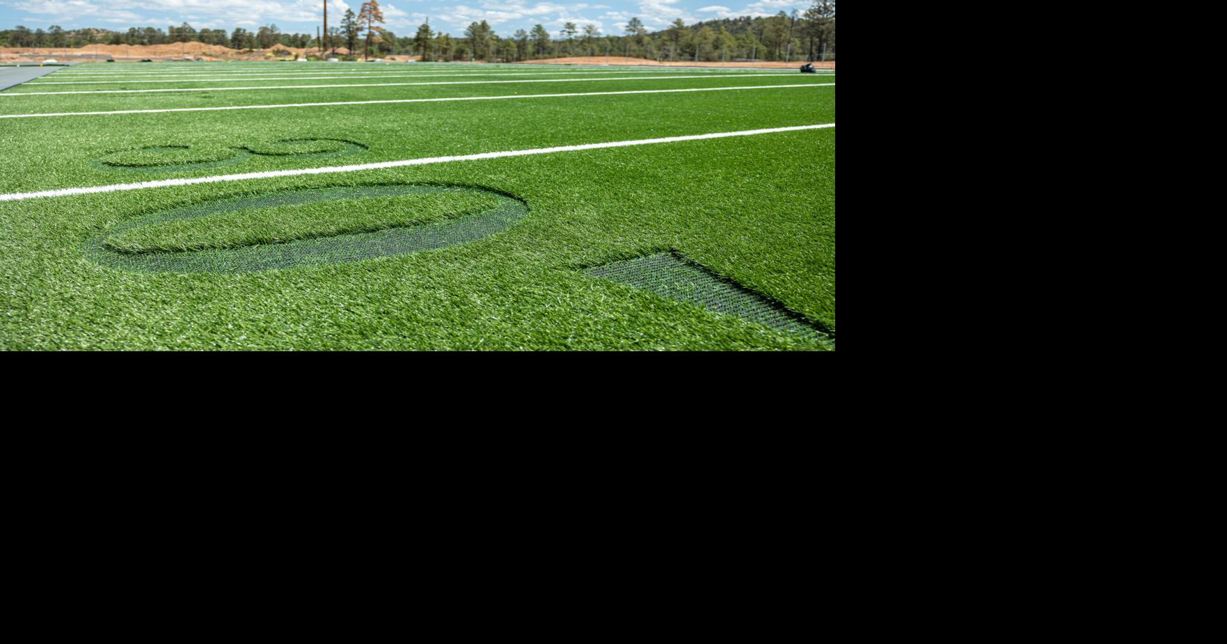 Yearning for artificial turf – despite the sticker shock | News ...