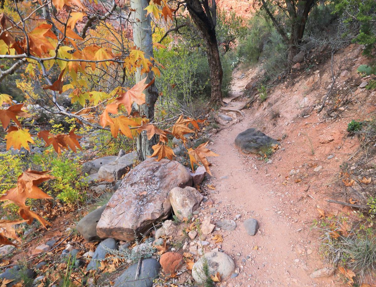 Parsons Trail: The last gasp of fall | Outdoors | paysonroundup.com