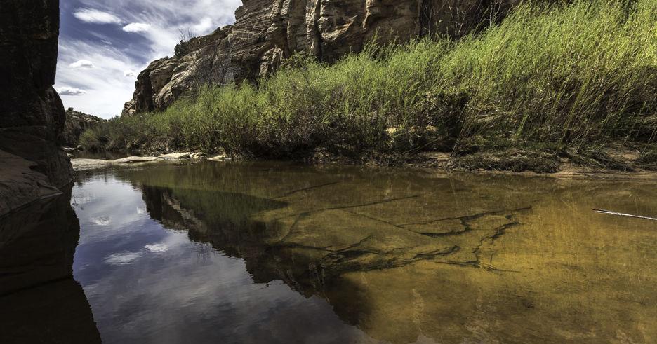 Rock Art Ranch | Features | paysonroundup.com