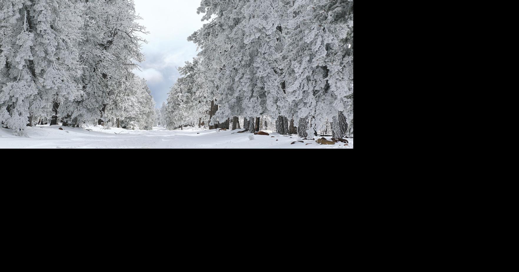 Town of Payson prepares community for heavy winter storm | Local News ...