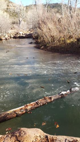 Winter fishing on the East Verde River | Hunting & Fishing ...