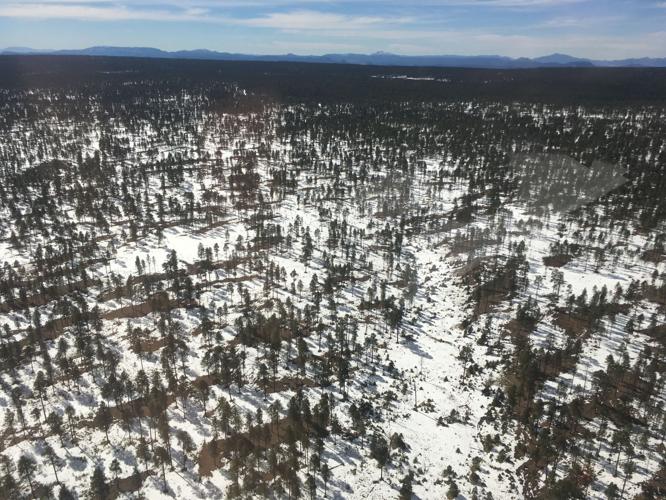 Salt, Verde reservoirs so far withstanding epic drought | News ...