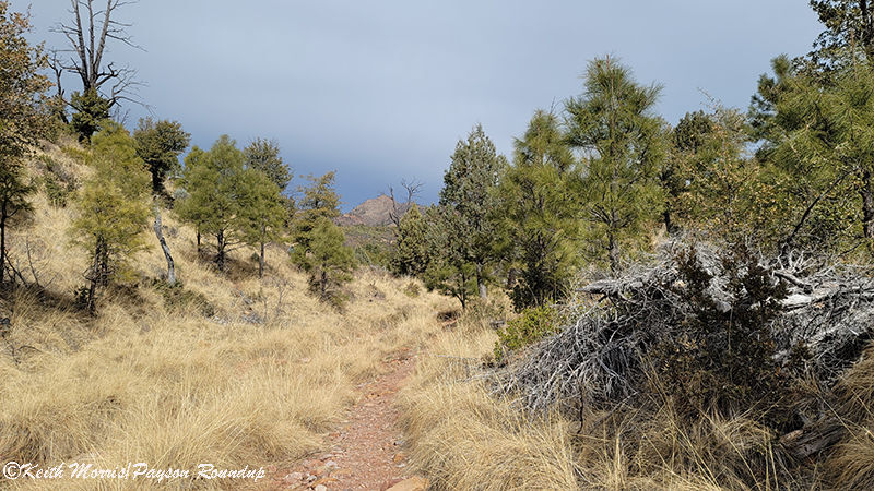 Dude Fire Memorial Trail | Multimedia | paysonroundup.com