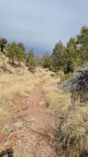 New trail near Payson honors Dude Fire victims | News | paysonroundup.com