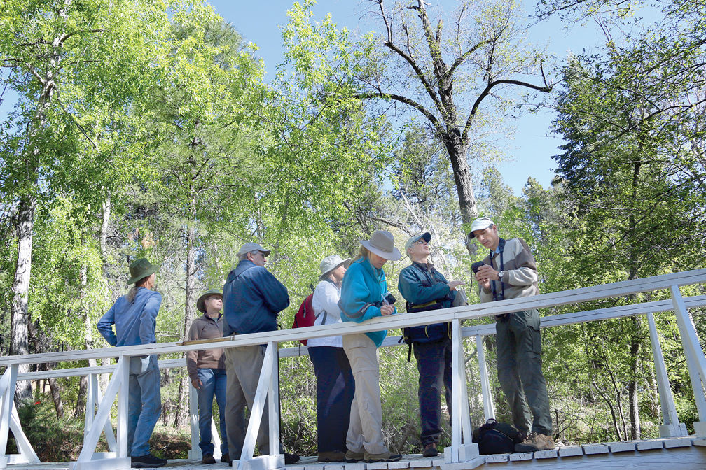 Puttering along with Bird Men of Pine | Things to Do | paysonroundup.com