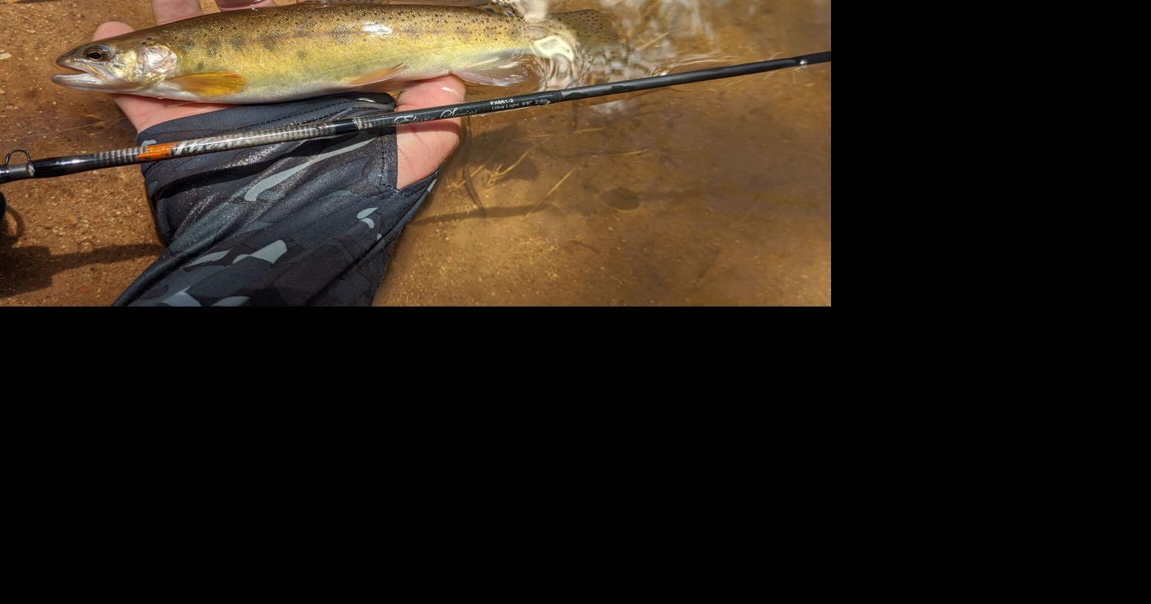 Springtime fishing is right around the corner | Hiking & Trails ...