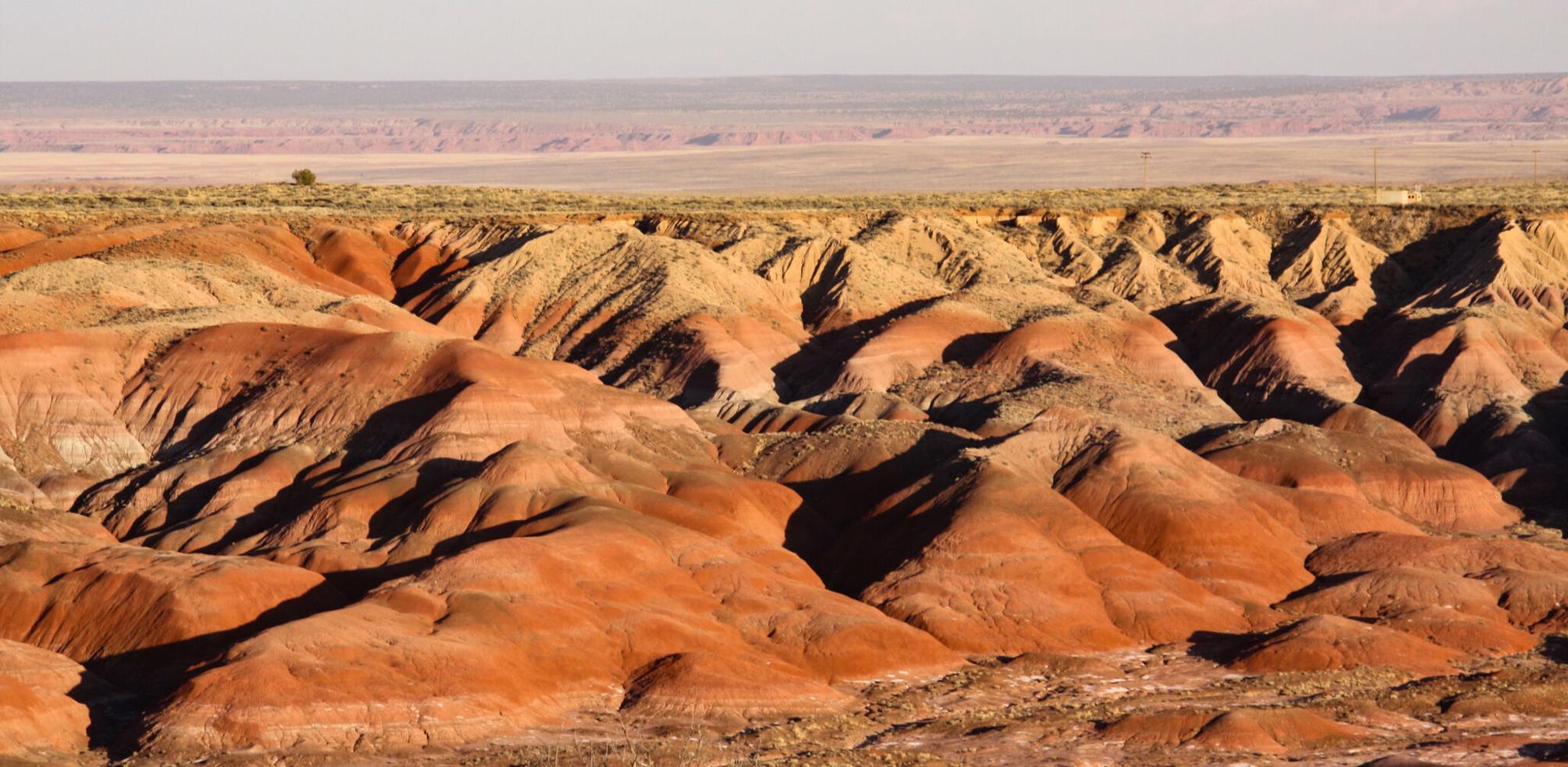 Petrified Forest reveals layers of disaster | 260 Connection ...