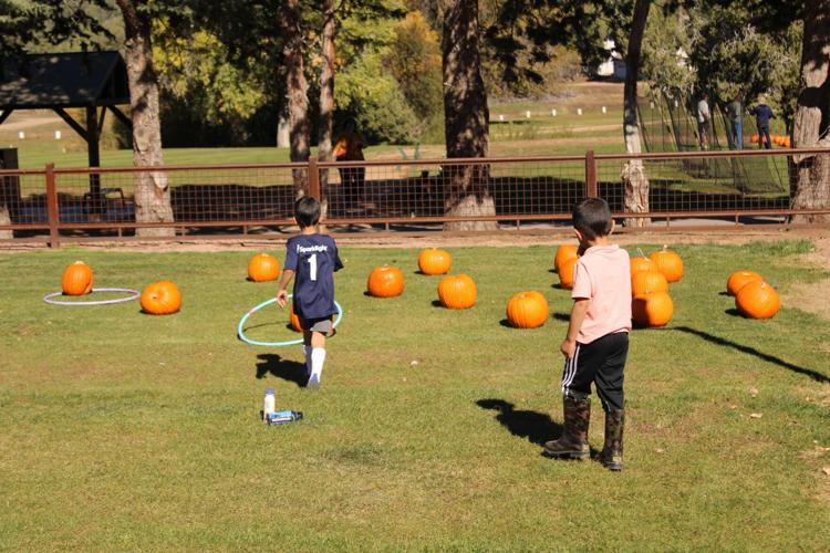Pumpkins fly, fund financial aid for college students | News ...