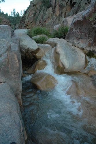Apache trout make comeback | | paysonroundup.com