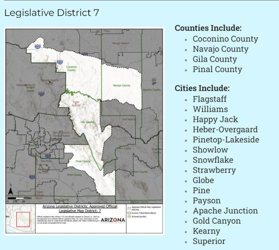 Cook challenges Sen. Rogers in sprawling District 7 | 2024 ...