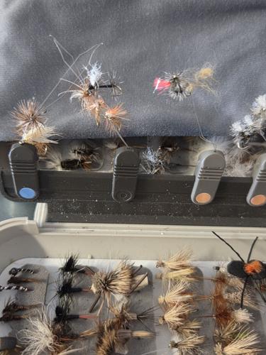 Fly fishing and getting old | News | paysonroundup.com