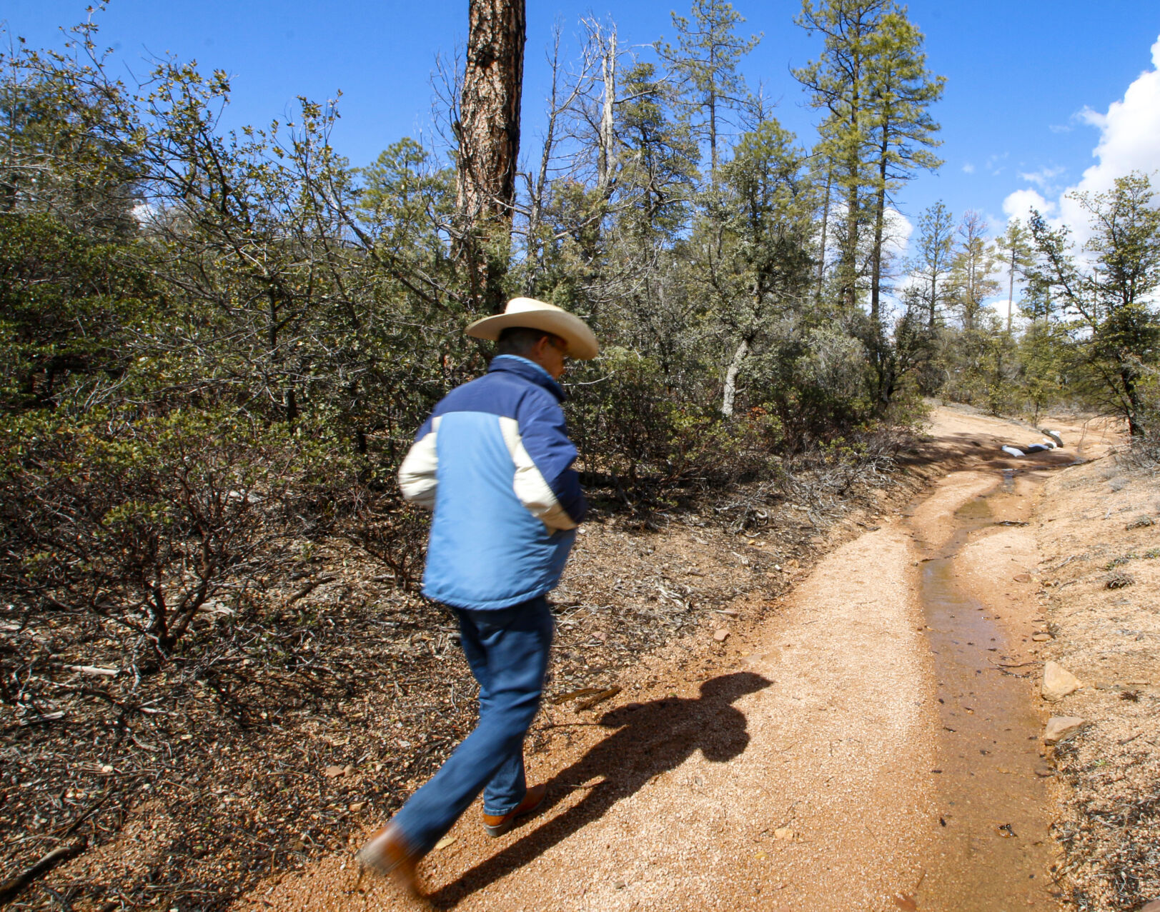 GCC’s new classes include innovative design class | News ...