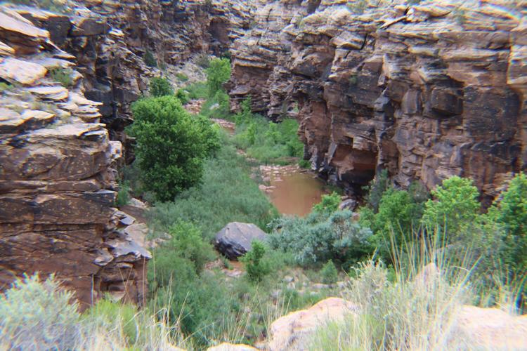 Five Mile Canyon hike leads to petroglyphs | 260 Connection ...
