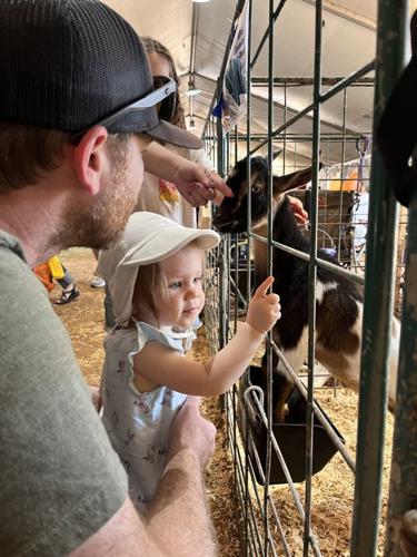 End of summer fun continues with Northern Gila County Fair | Arts ...