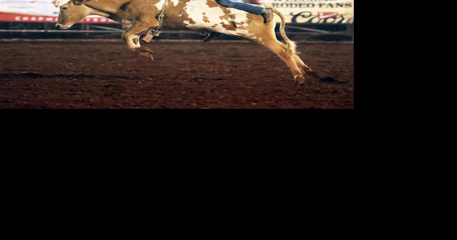 Gary Hardt Memorial Rodeo | Multimedia | paysonroundup.com