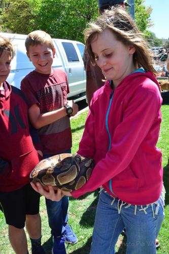 Wildlife Fair Payson, AZ | Multimedia | paysonroundup.com