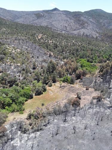 Woodbury Fire at Eighty Percent Containment | Forest Management ...