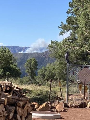 Brady Fire starts below the Rim | Local News | paysonroundup.com