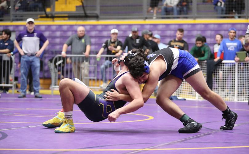 Fifty-four White Mountain/Rim Country wrestlers qualify for state | 260 ...