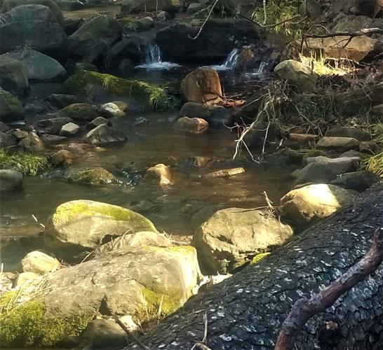 A slice of humble pie atop the Mogollon Rim | 260 Connection ...