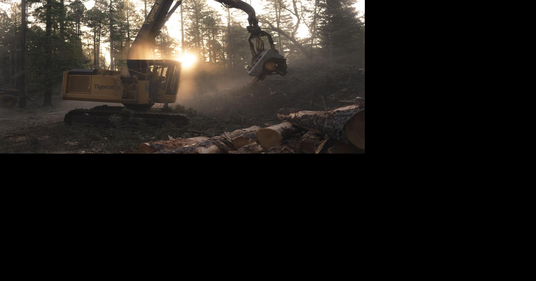 Payson earmarks $81,000 for thinning project | News | paysonroundup.com