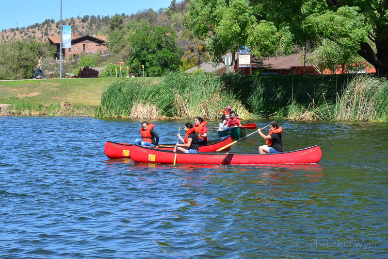 Wildlife Fair Payson, AZ | Multimedia | paysonroundup.com