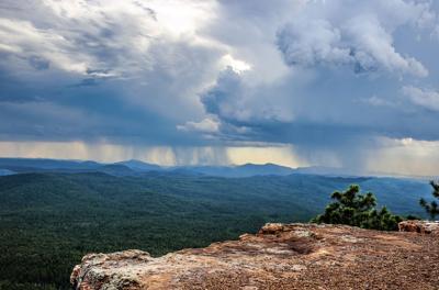 Monsoon revives Payson's Rim Country | Weather | paysonroundup.com