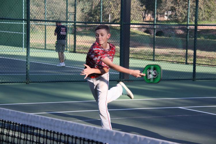 Pickleball poses a pretty pickle for Payson Parks | Local News ...