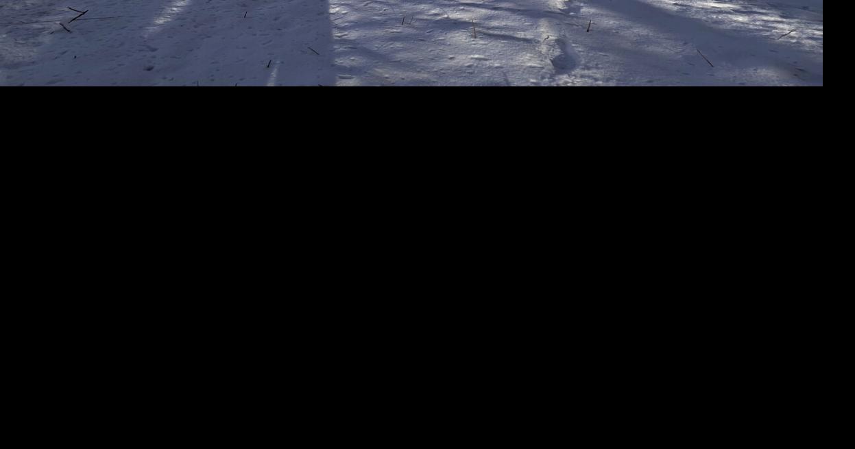 The last snowfall | 260 Connection | paysonroundup.com
