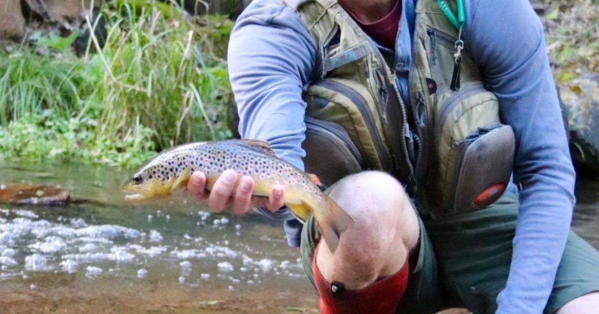 Stream fishing around Payson and the Rim Country | Outdoors ...