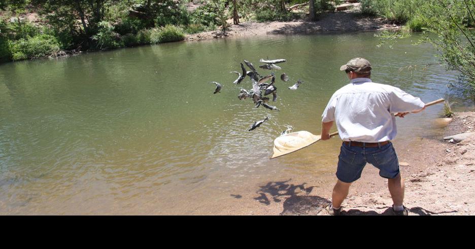 Arizona Game and Fish Chairman testifies on bill to help fisheries ...