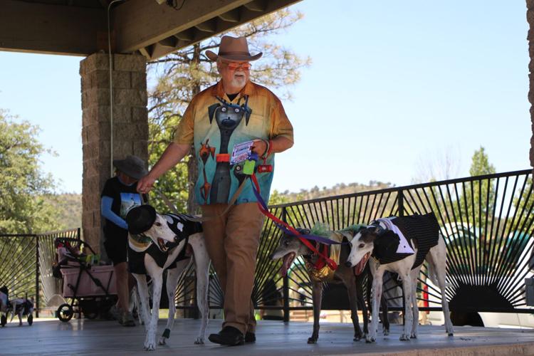 Pups in the Pines gets high praise at Green Valley Park | Events ...