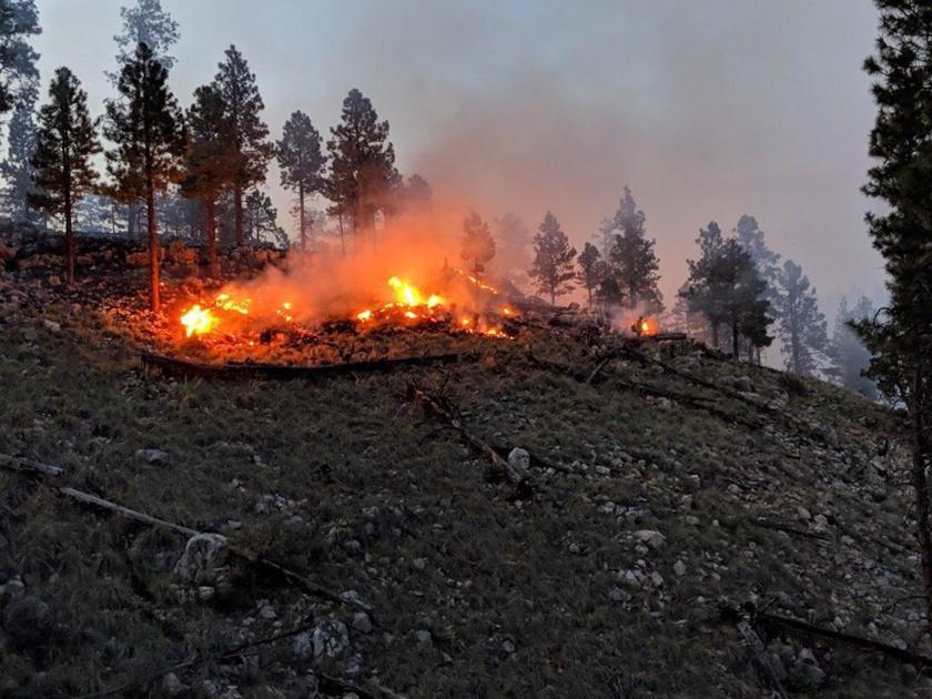 Fire crews scramble to use low-intensity fires | Forest Management ...