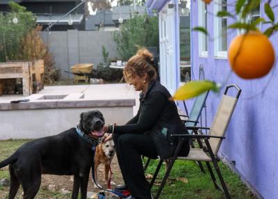 Sniffspot app gives pets space to roam | News | paysonroundup.com