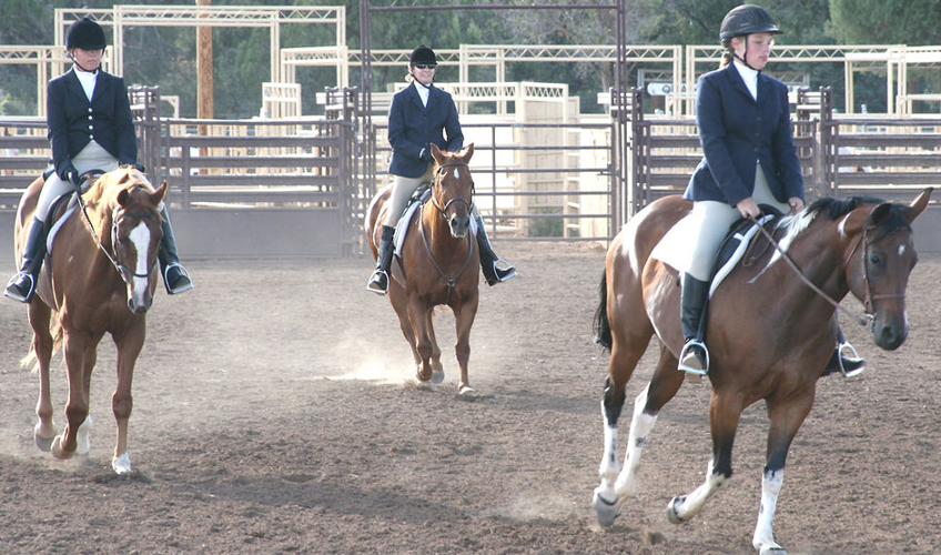 End of summer fun continues with Northern Gila County Fair | Arts ...