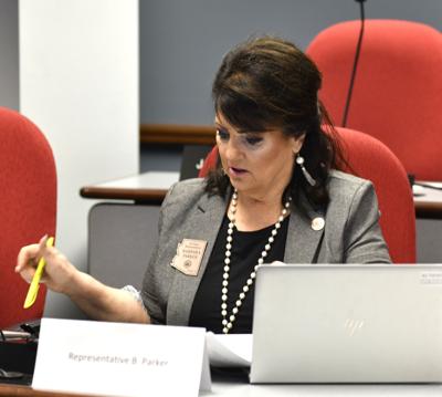 Bill would exempt legislature from some of state's Open Meeting Law ...