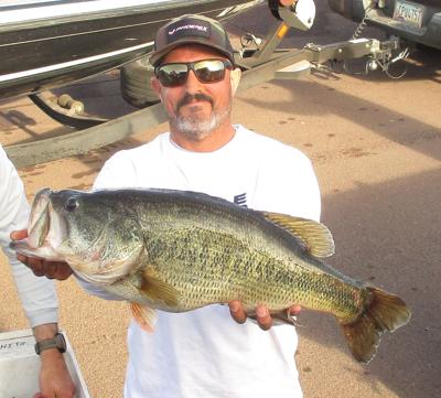 Let's Talk Fishin' record 11.99-pound largemouth bass caught on ...