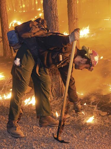 Chapter 31 - Wallow Fire: No one can stop this monster | Catastrophe A ...