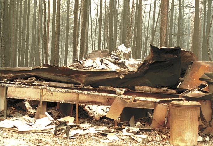 Rodeo Chedeski fire has long-term effects on the forest | 260 ...