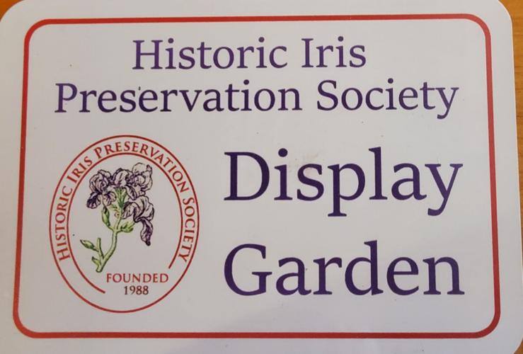 That iris in your backyard could be historic and valuable to an ...