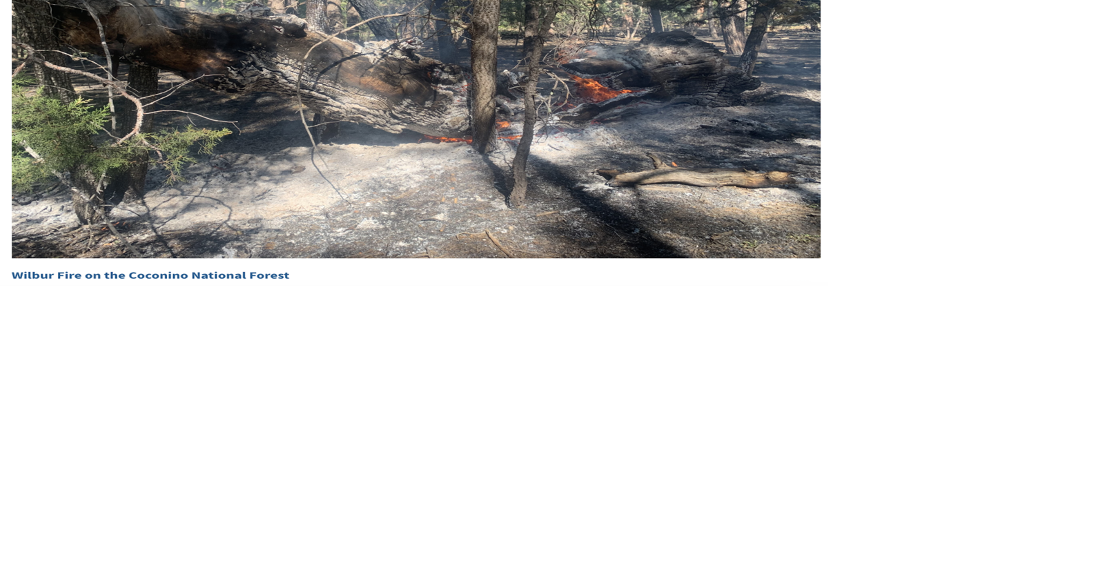 Smoke from Wilbur Fire near Clints Well seen in Payson and Pine | Local ...