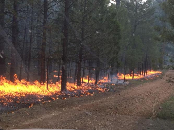 Wildfires burning across Arizona | News | paysonroundup.com
