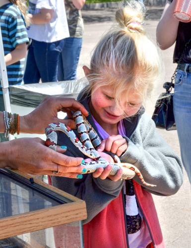 23rd Annual Payson Wildlife Fair coming soon | Arts & Entertainment ...