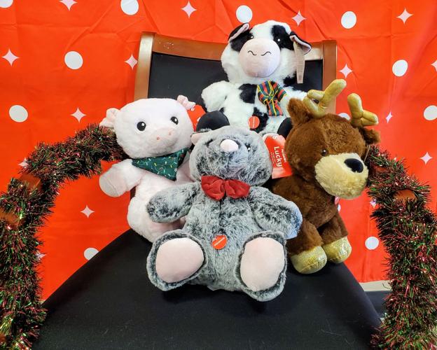 PetSmart partners with Dueker Ranch for Christmas giving | News ...