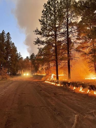 Forest Service fighting fire with fire | 260 Connection | paysonroundup.com
